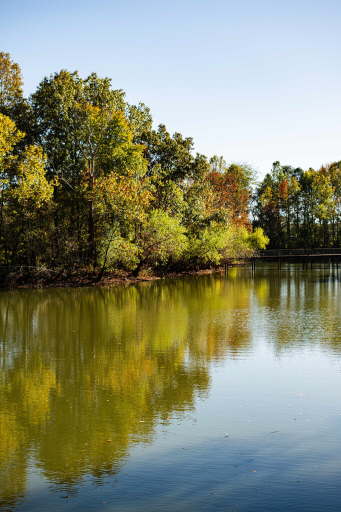 Birds and Seeds - Memphis Museums of Science and History
